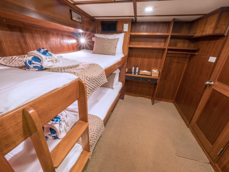Mermaid II Liveaboard - Official Website