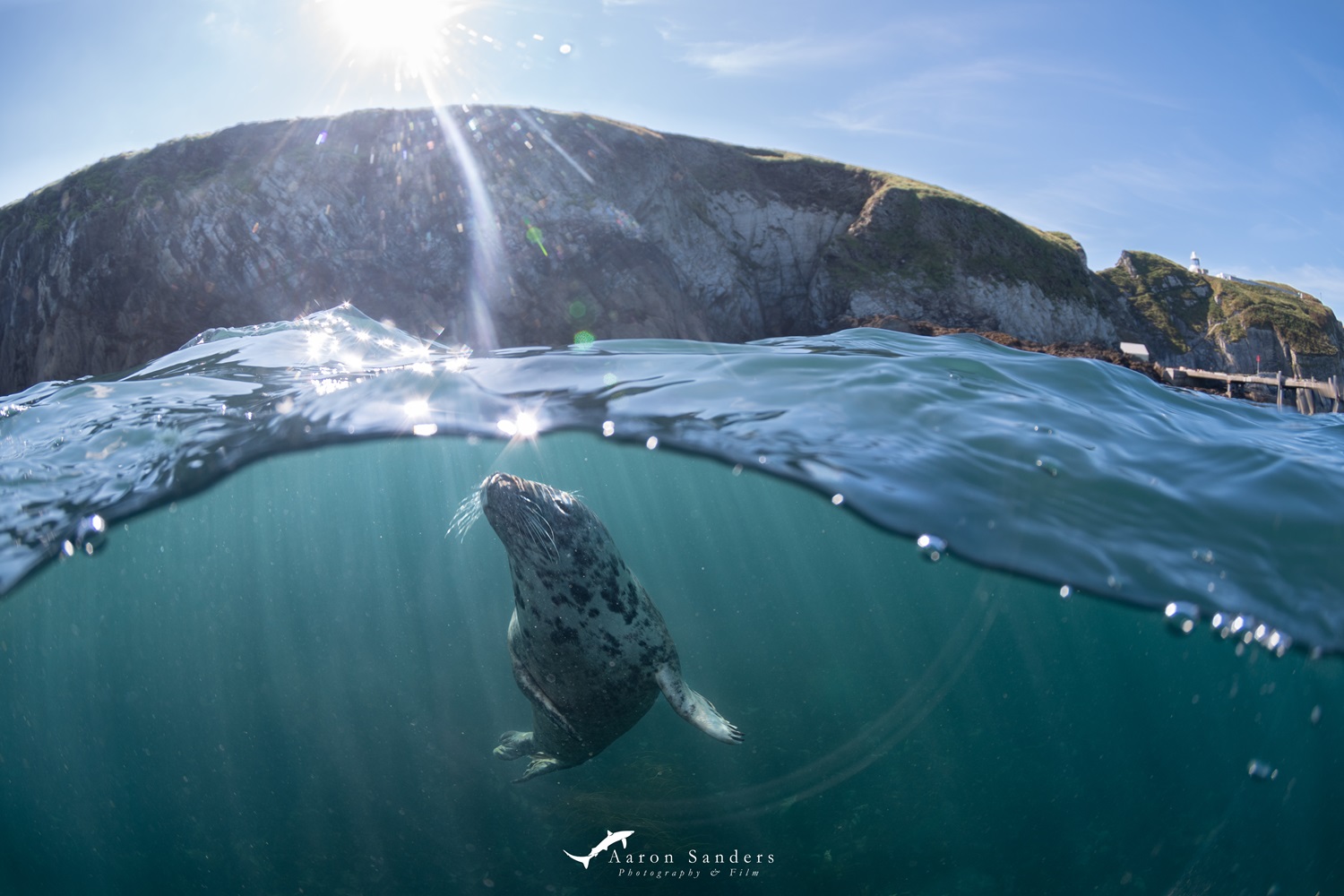 Aaron Sanders - Mermaid Liveaboards